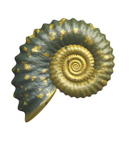 Ancient Shellfish Stock Illustrations – 498 Ancient Shellfish Stock ...