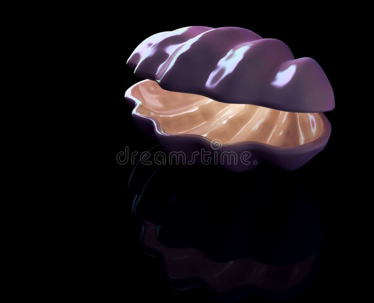 Wealth Shell Stock Illustrations – 2,484 Wealth Shell Stock ...