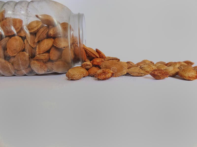 Hard Shell Almond Inside Black Cloth Stock Photos - Free & Royalty-Free ...