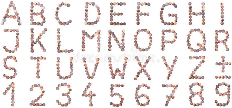 Shell-alphabet stock illustration. Illustration of ocean - 5628768