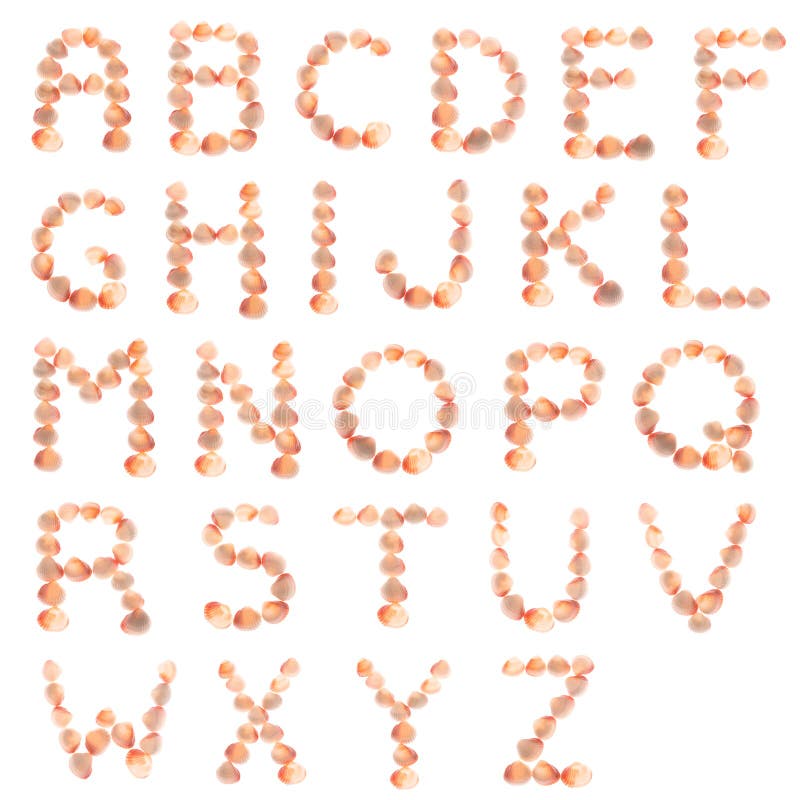 Shell alphabet stock photo. Image of white, alphabet - 13529300