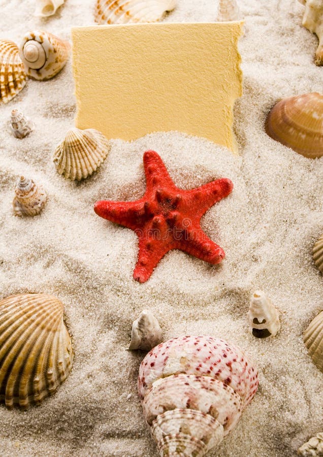 Shell, Arena Y Hoja Del Papel Foto de archivo - Imagen de hoja, poste ...