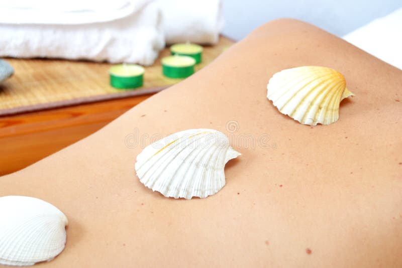 Shell on back stock photo. Image of calm, luxury, beautiful - 44834220