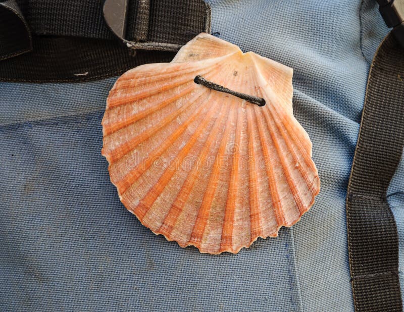 Shell on a backpak stock photo. Image of journey, shell - 36580670