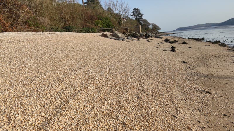 The shell beach stock image. Image of coast, rock, food - 214827807
