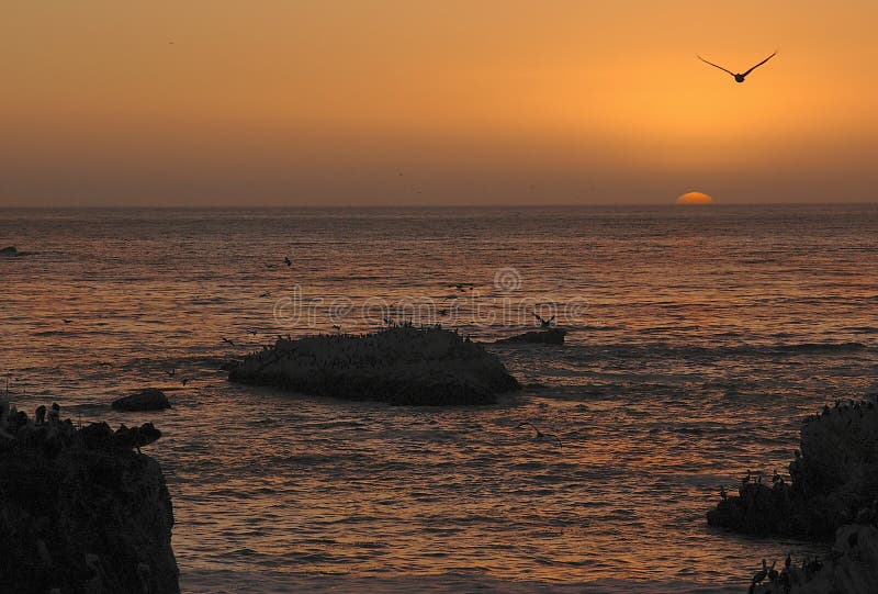 Shell beach stock photo. Image of horizon, coast, dawn - 255044