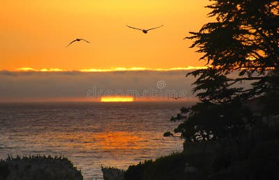 Shell beach stock photo. Image of horizon, coast, dawn - 255044