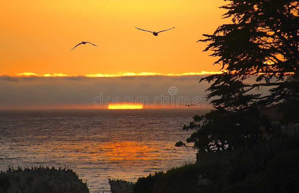 Shell beach stock photo. Image of horizon, coast, dawn - 255044