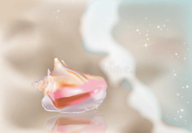 Shell on the beach stock illustration. Illustration of vacation - 70148485