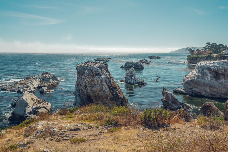 Shell Beach Area of Pismo Beach, California Stock Image - Image of ...