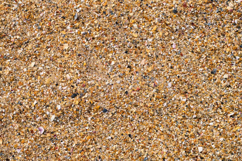 Shell Beach, Broken Shells and Pebbles on a Sandy Beach. Top View ...