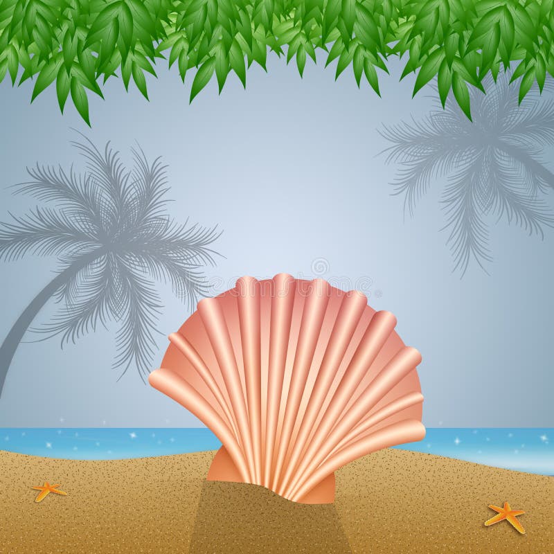 Shell on the beach stock illustration. Illustration of holidays - 70148578