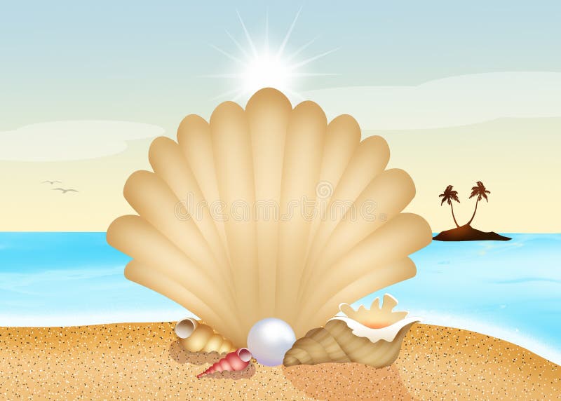 Shell on the beach stock illustration. Illustration of beach - 55414408