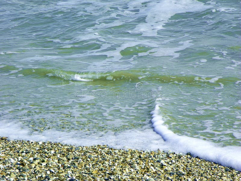 Shell Beach stock photo. Image of blue, foam, green, water - 79871990