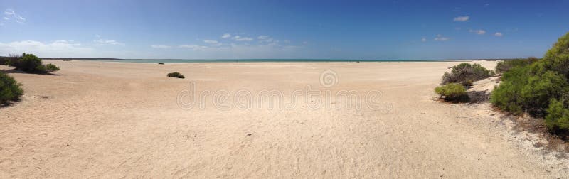 Shell Beach Shark Bay Panorama Imagen de archivo - Imagen de playa ...