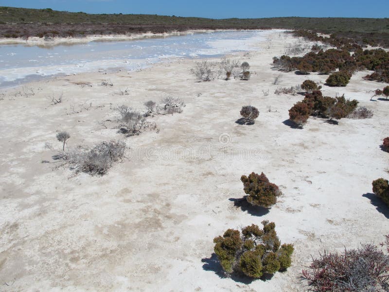 Shell Beach, Shark Bay, Western Australia Stock Photo - Image of ...