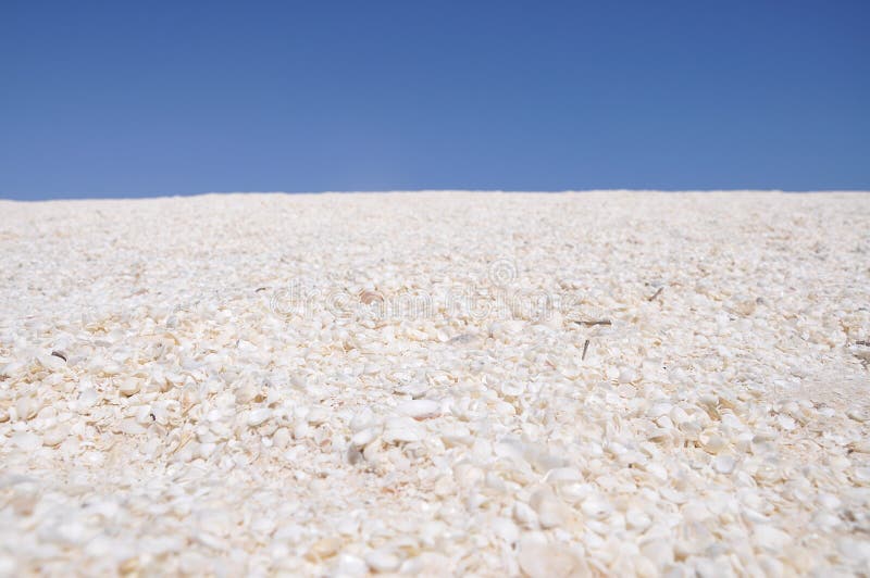 Shell Beach, Shark Bay, Western Australia Stock Photo - Image of coast ...