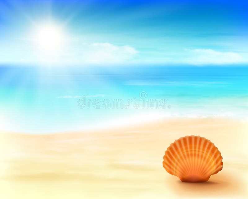 Shell on the Beach. Vector Illustration. Stock Vector - Illustration of ...