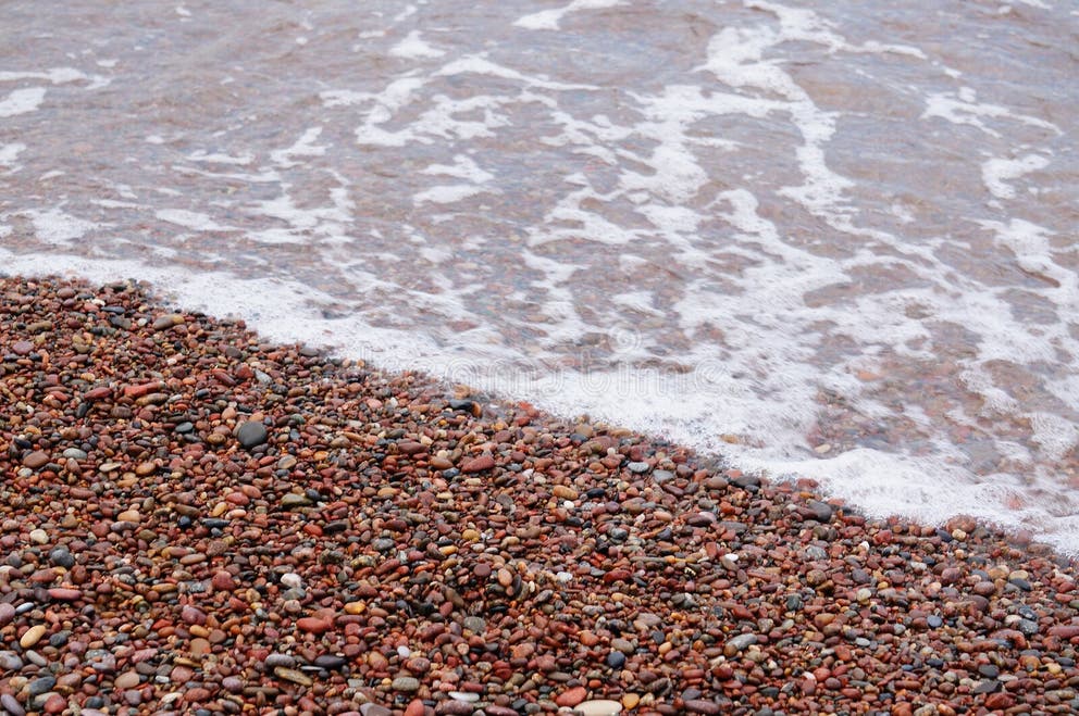 Shell on beach with waves stock image. Image of ocean - 232474791
