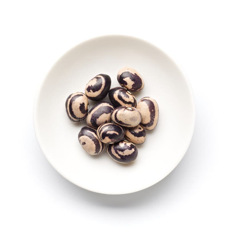 Shell bean stock image. Image of phaseolus, bean, shell - 49506991