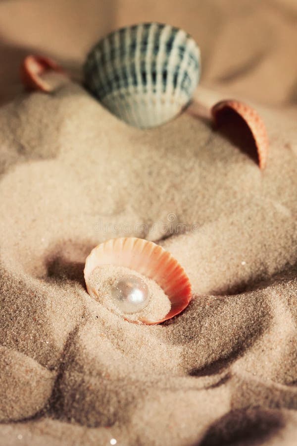 Shell with a Beautiful Pearl Lies on a Sandy Beach Stock Image - Image ...
