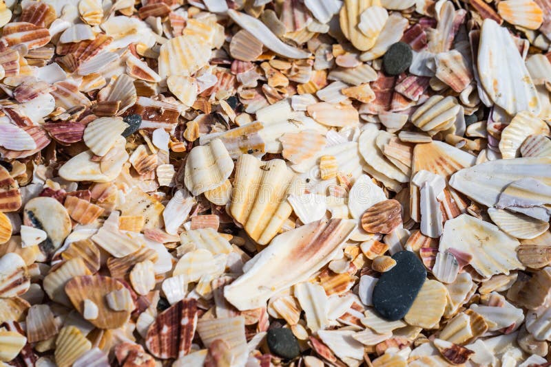 Shell Bedeckte Fenella Beach in Der Schale, Isle of Man Hintergrund ...