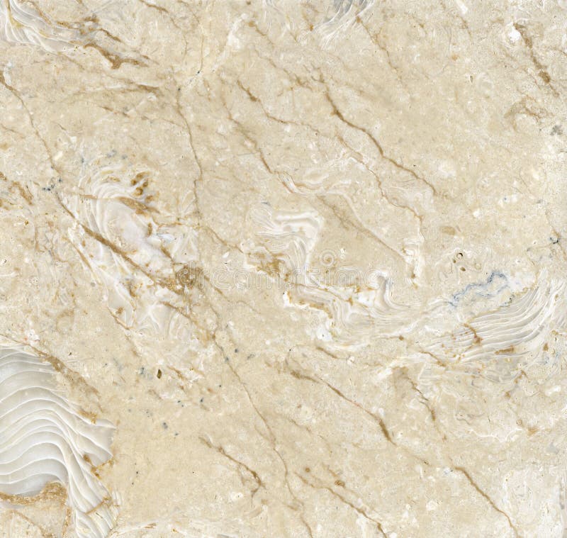 Shell Beige Marble Background Grain Stone Plate Stock Image - Image of ...