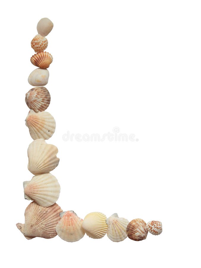 230+ Shell border Free Stock Photos - StockFreeImages