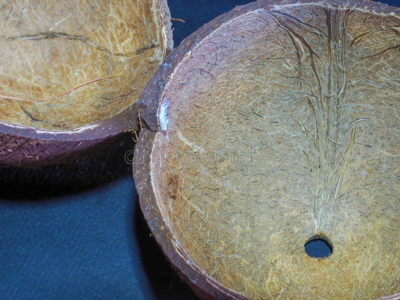 Coconut Structure Macro. Floral Background Stock Image - Image of fiber ...