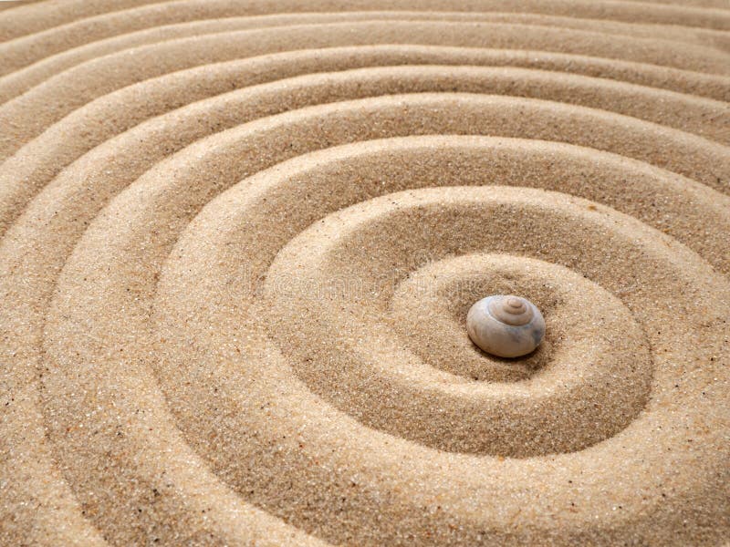 Shell in Circles on the Sand. Zen Concept Stock Image - Image of ...