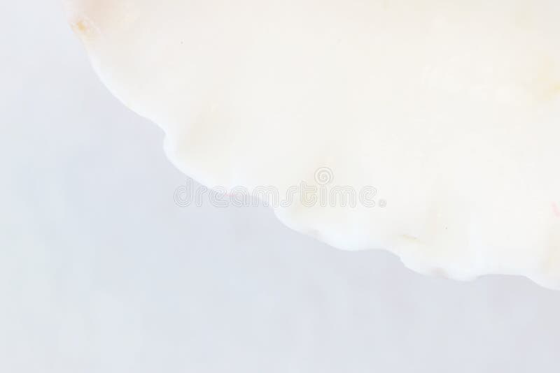 Shell Close Up Abstract Macro Photo Stock Image - Image of natural ...