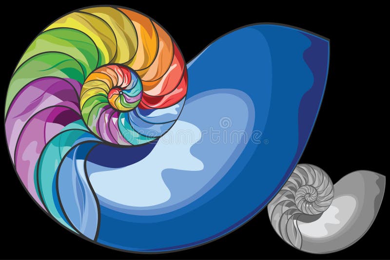 Shell azul del nautilus ilustración del vector. Ilustración de océano ...