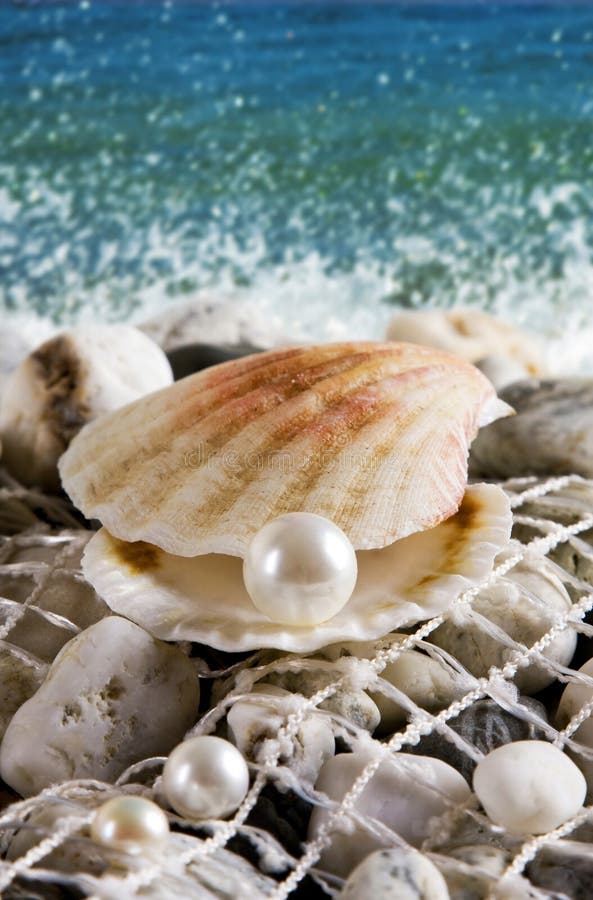 Estrellas De Mar, Perlas, Y Conchas Marinas Que Sorprenden Foto de ...