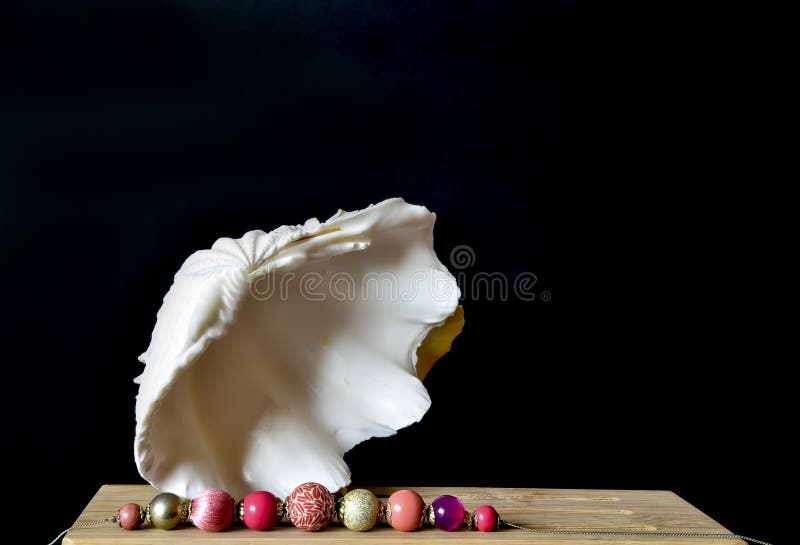 Shell Con Las Perlas Del Color En Negro Imagen de archivo - Imagen de ...