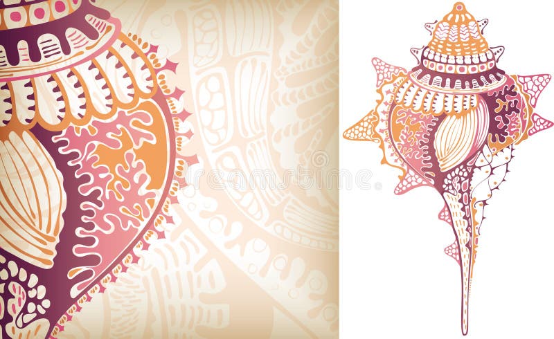 Abstract Sea Shell stock vector. Illustration of shell - 34573081
