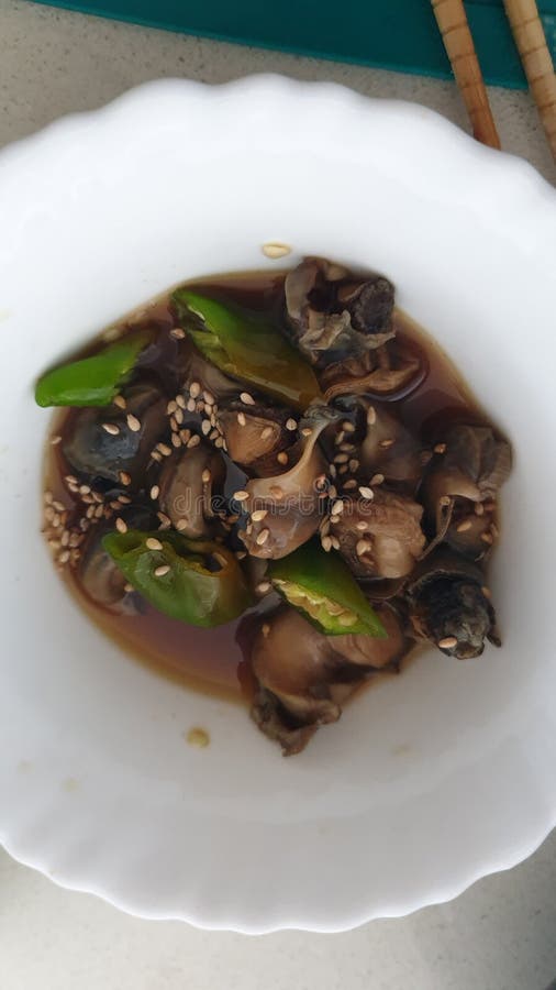 Shell stock image. Image of cooking, shells, food, korean - 154413145