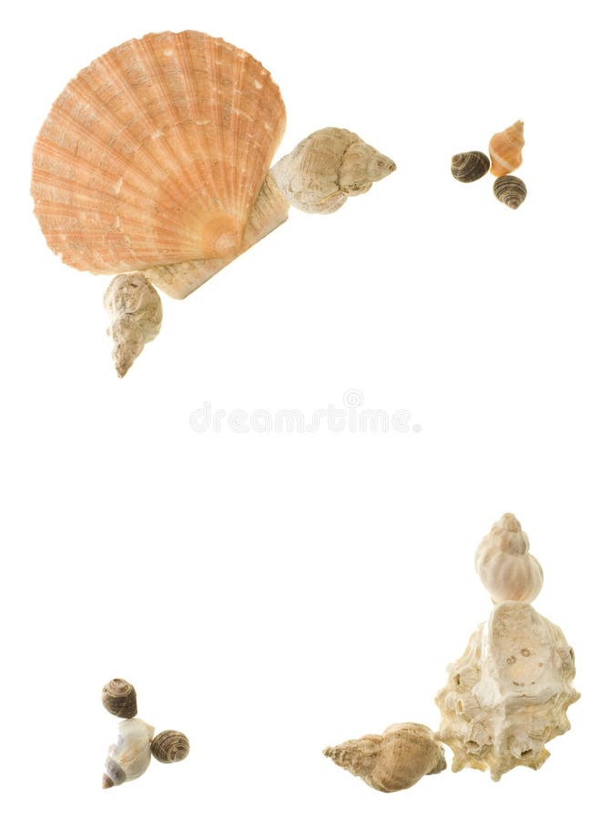 Shell And Beach Pebble Border Stock Image - Image of idyllic, close ...