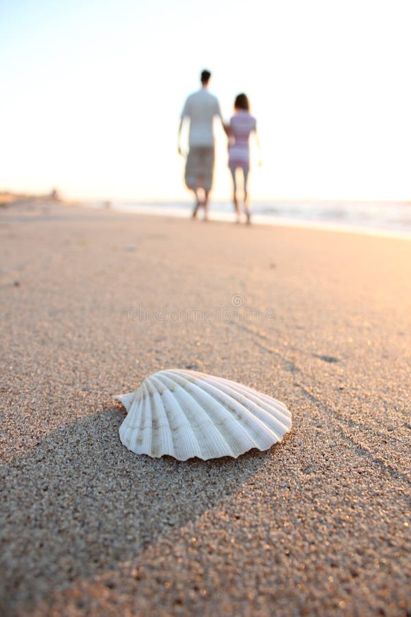 Shell Love Heart stock photo. Image of vacation, heart - 7799914