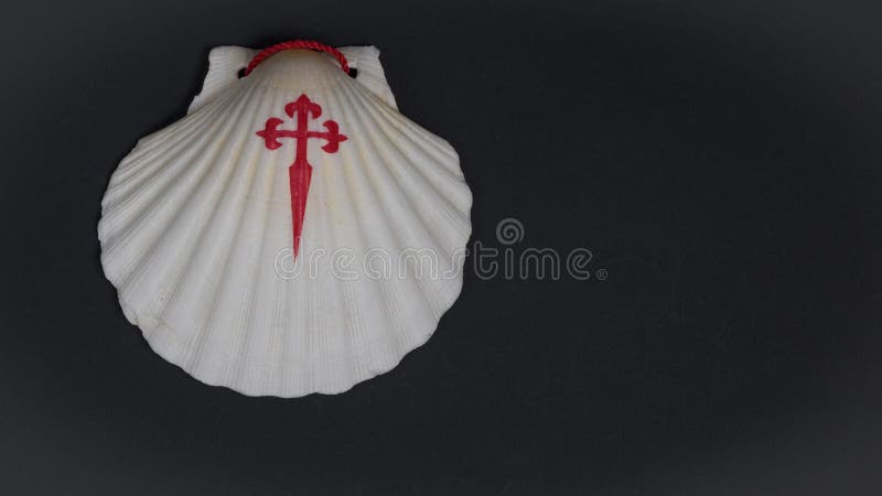 Shell with cross stock photo. Image of pilgrimage, jesus - 89981670