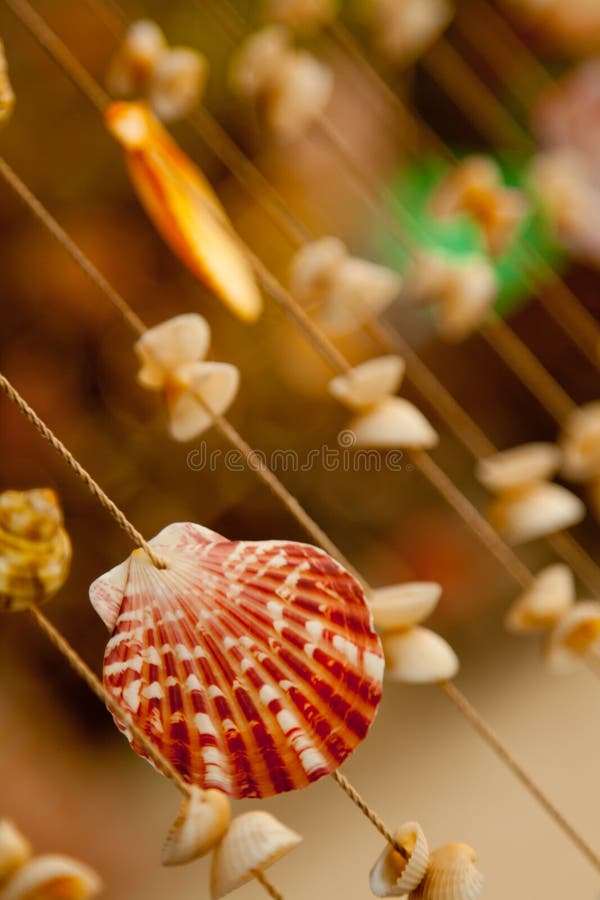 208 Seashell Curtain Photos - Free & Royalty-Free Stock Photos from ...