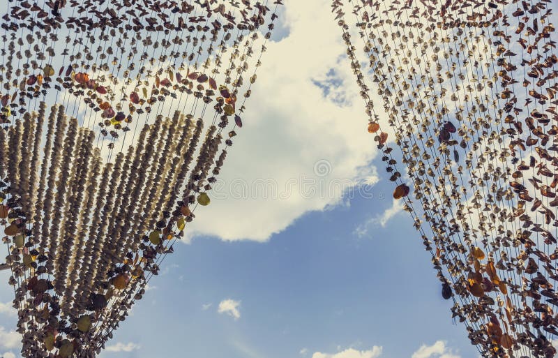 Shell Curtain stock image. Image of hanging, culture - 14567557