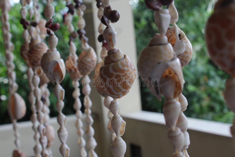 Shell cute decoration stock image. Image of flower, food - 208792467