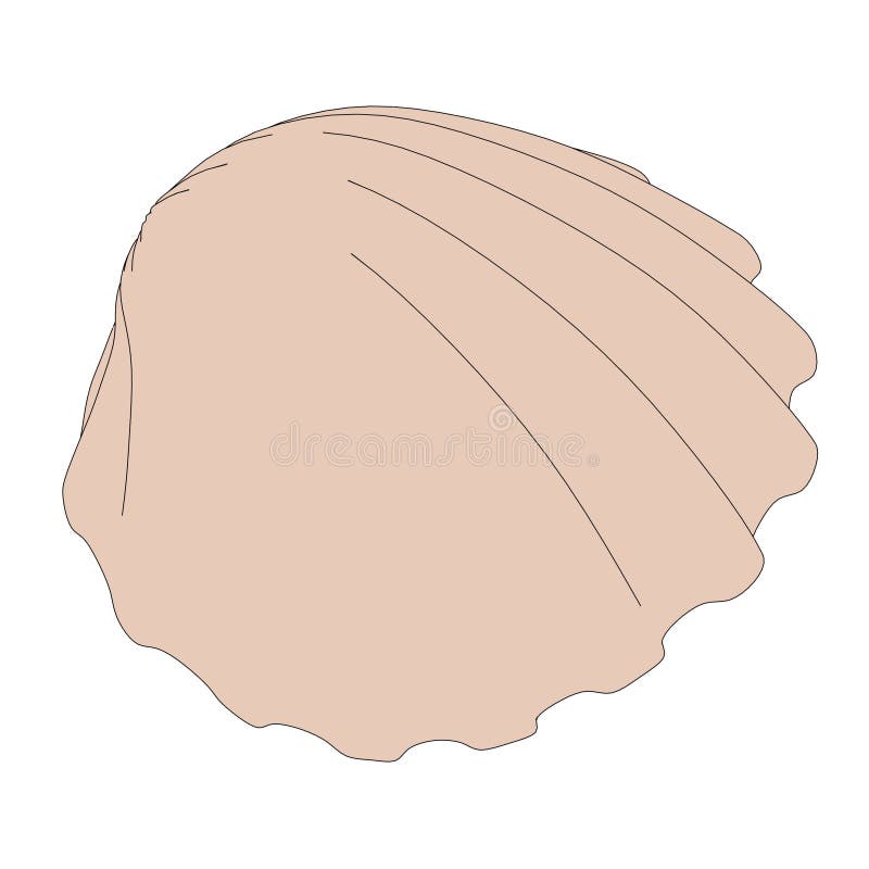 Shell stock illustration. Illustration of snail, cartoon - 81900323