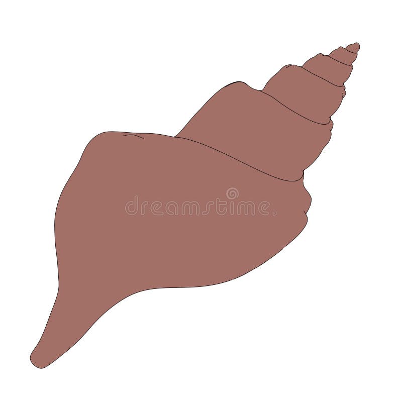 Shell stock illustration. Illustration of mussel, shell - 81900533