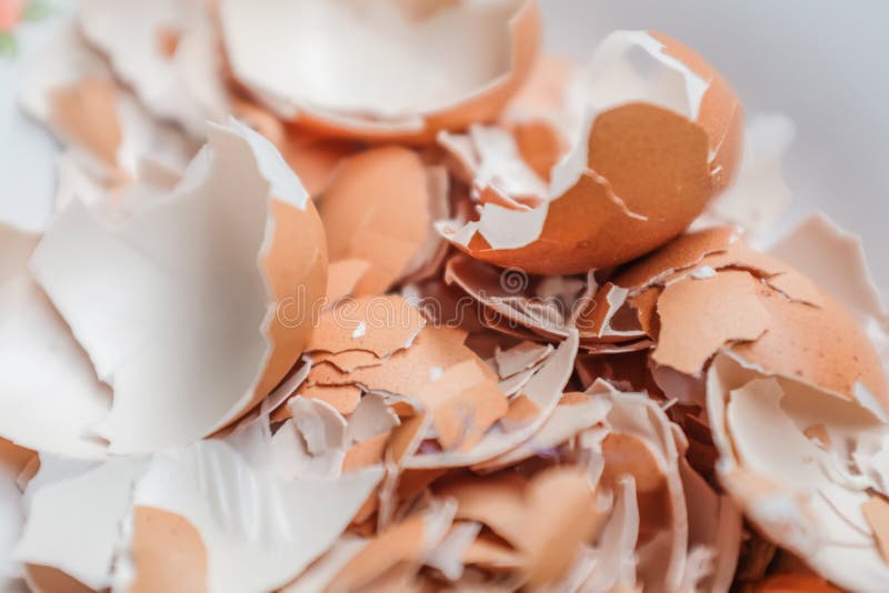 Shell De Ovo Rachado No Fundo Branco Imagem de Stock - Imagem de ...