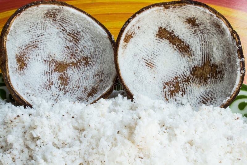 Shell del coco imagen de archivo. Imagen de duro, fondo - 28270511