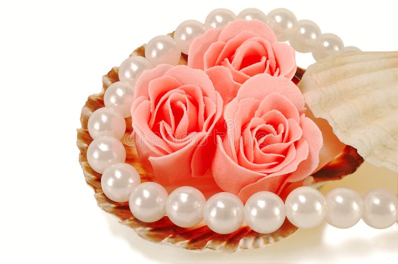 Shell Del Mar Con Perlas Y Una Rosa Imagen de archivo - Imagen de rosa ...