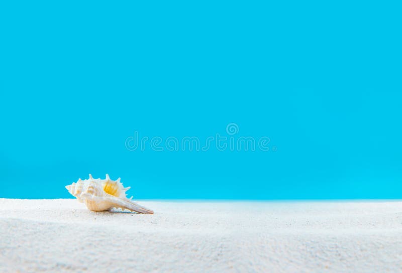 Shell En La Arena Con El Fondo Azul Imagen de archivo - Imagen de ...