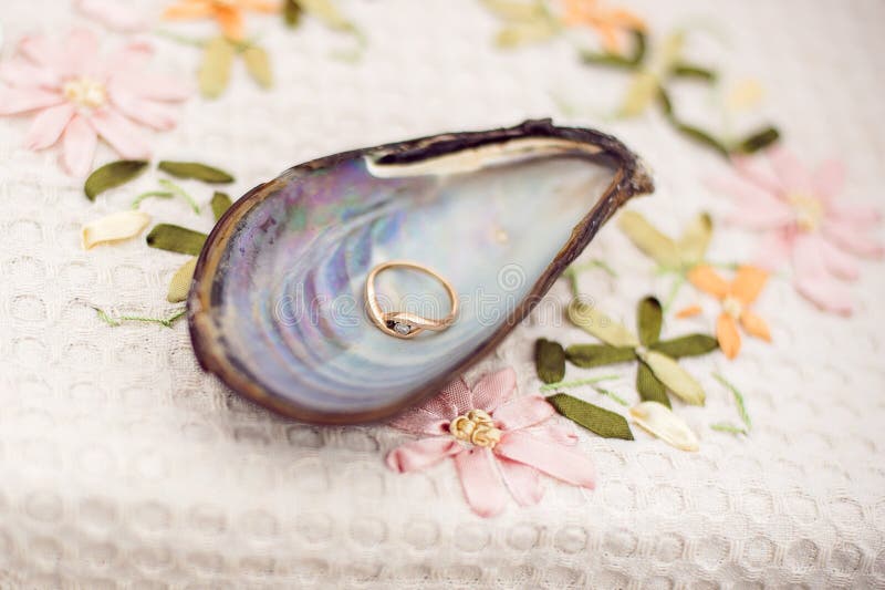 Shell with Engagement Ring Inside Stock Image - Image of love, circle ...
