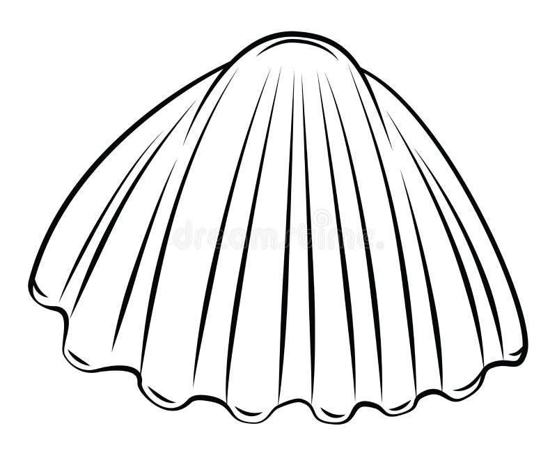 Seashell stock vector. Illustration of isolated, black - 32972508